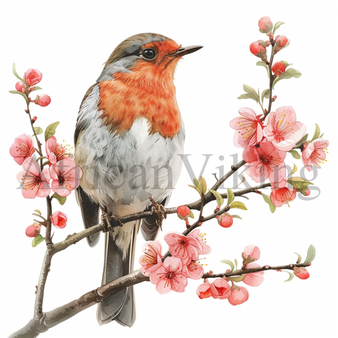 Robin Bird Spring Blossom Clipart | Nursery Art (digital Download) - Etsy