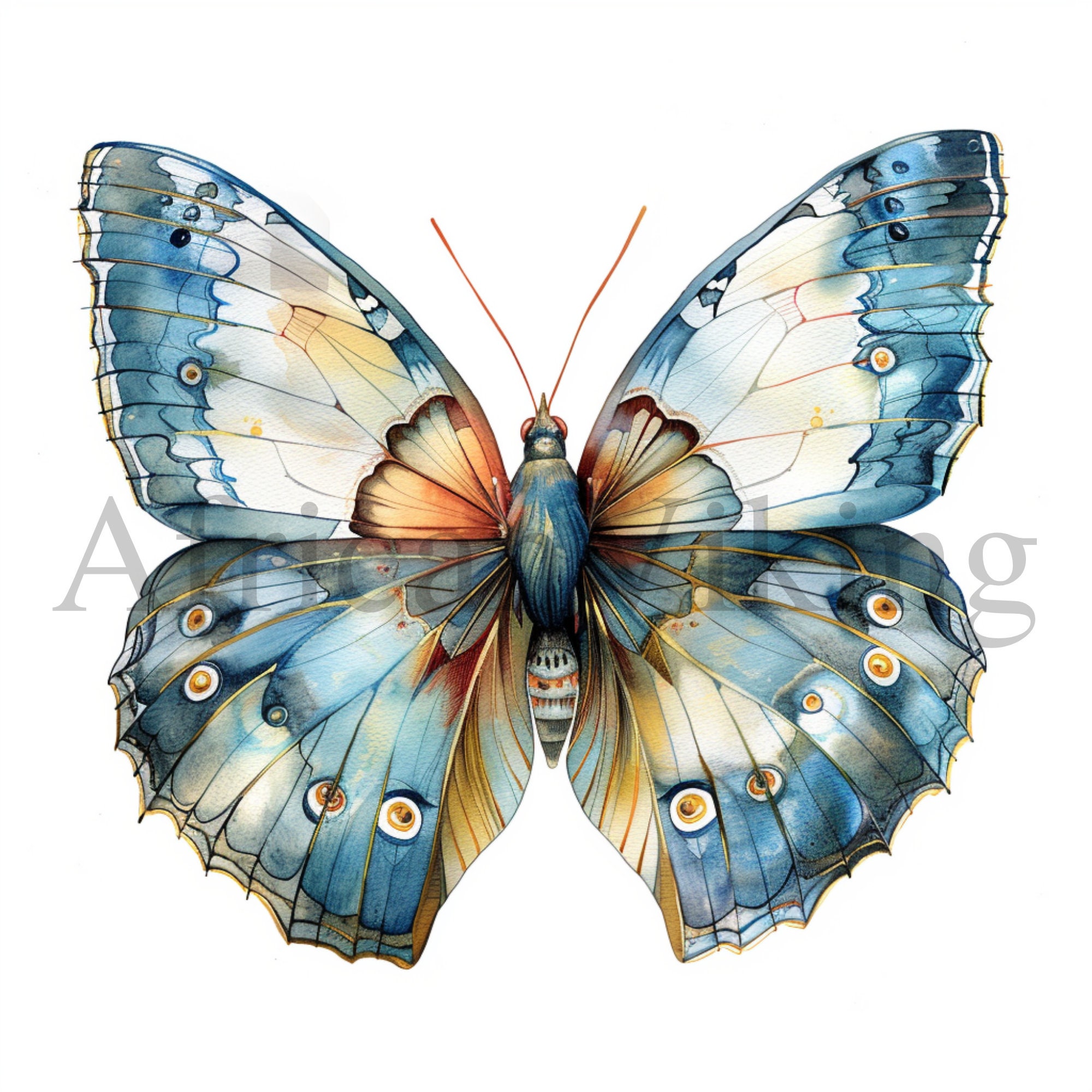 Whimsical Butterflies Clipart 10 High Quality Jpgs Digital Download ...