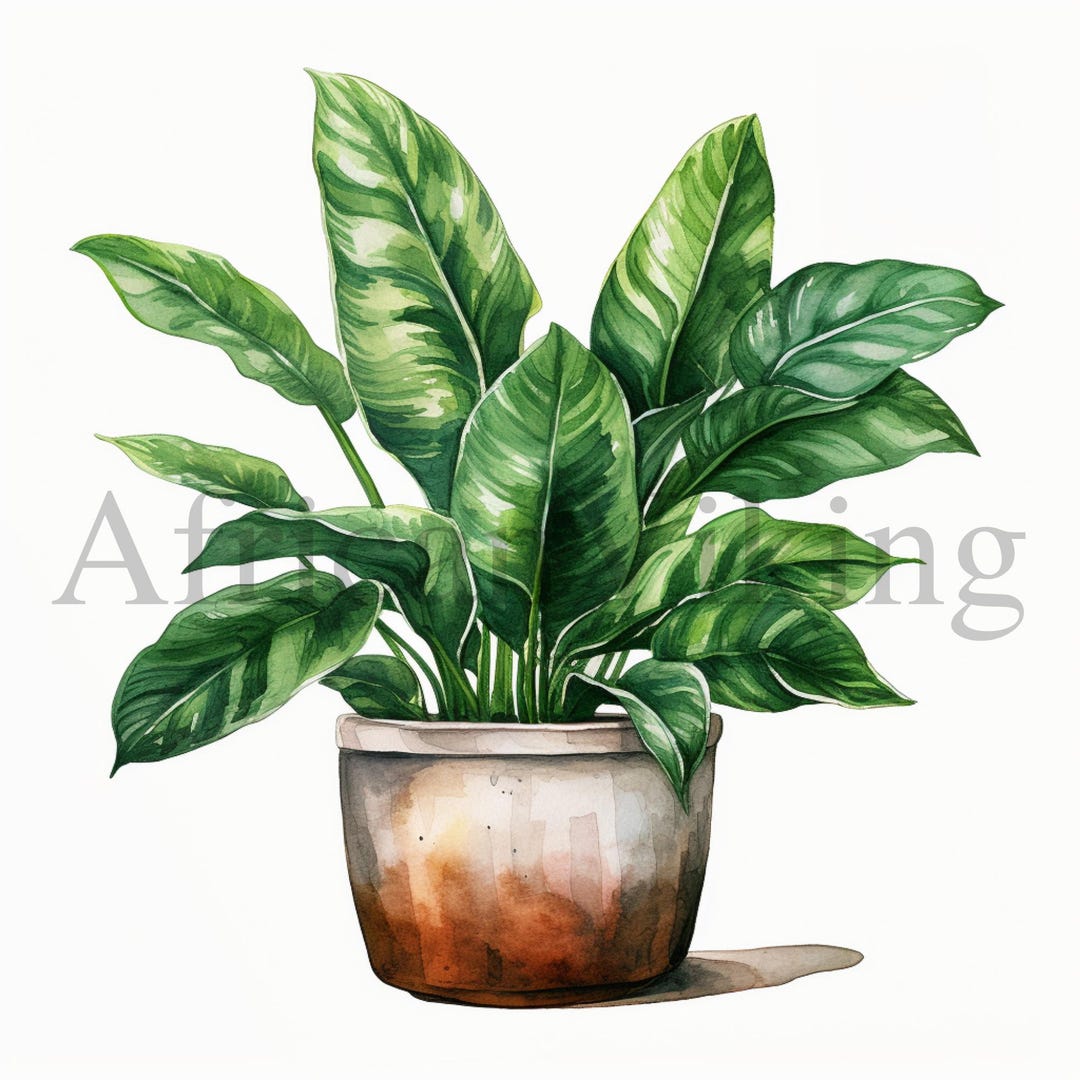 Plant Pot Clipart | 10 High Quality Jpgs | Digital Download | Flower ...
