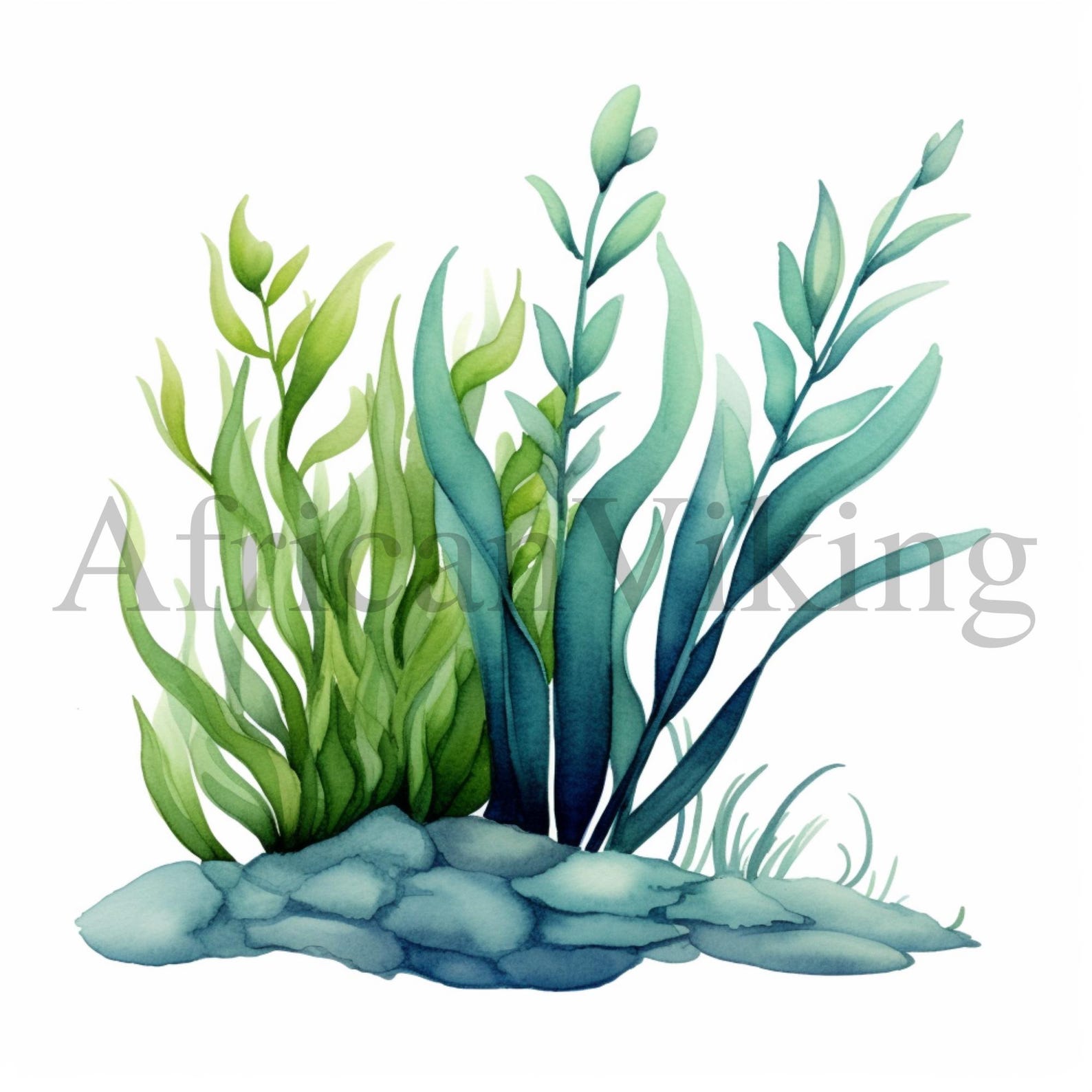 Sea Plants Clipart | 10 High Quality Jpgs | Digital Download | Nautical ...