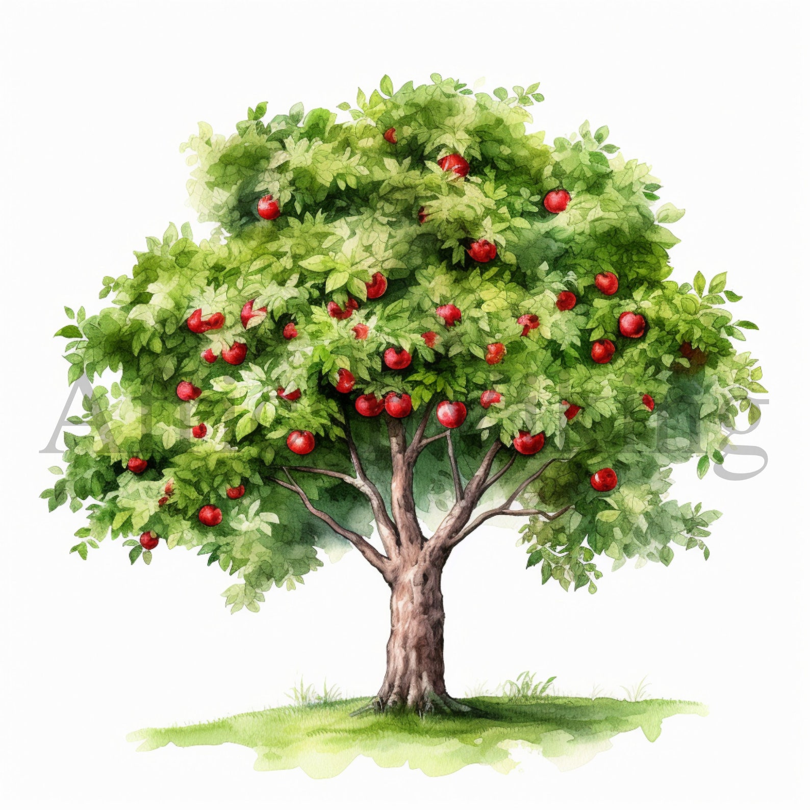 Apple Trees Clipart | 10 High Quality Jpgs | Digital Download | Apple ...