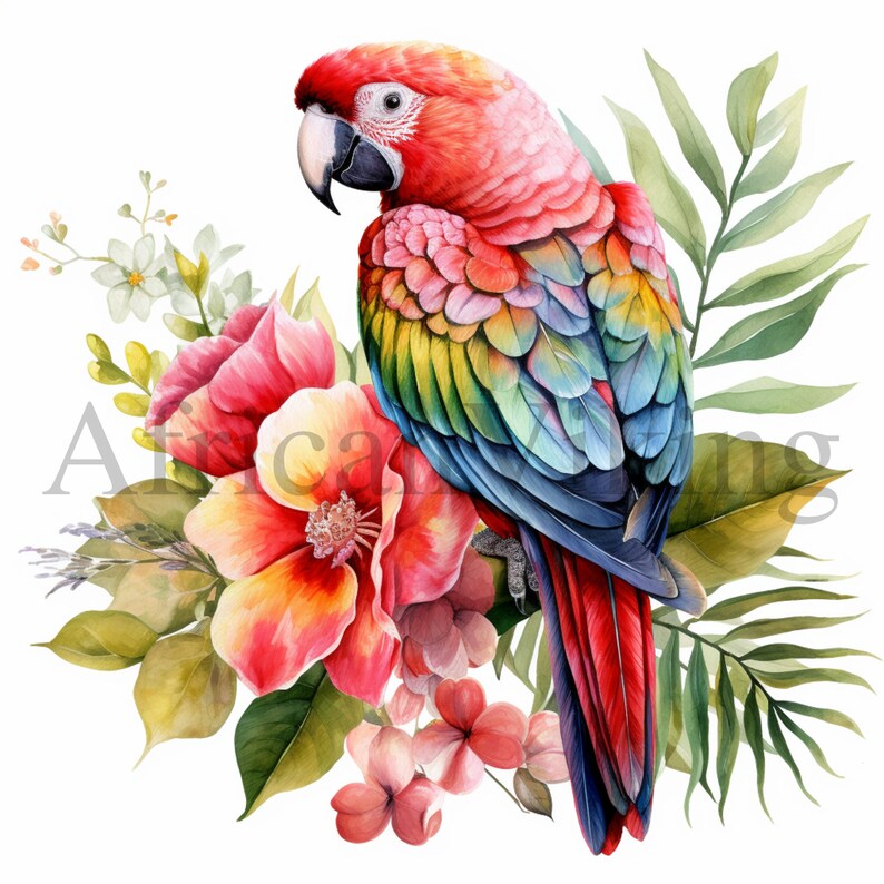 Colorful Parrot Clipart | 10 High Quality Jpgs | Digital Download ...