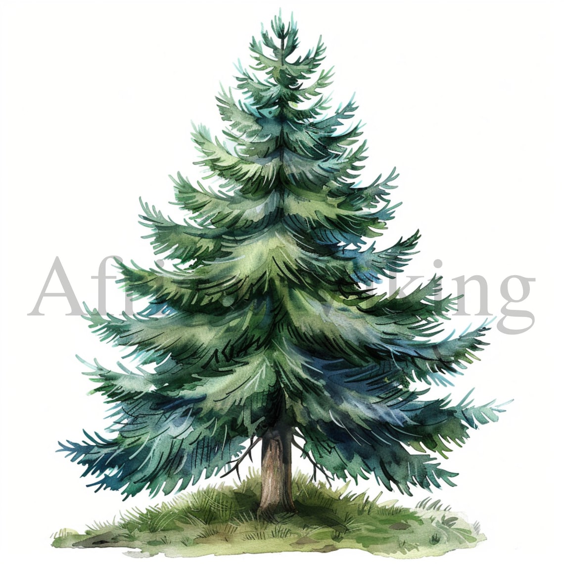 Fir Trees Clipart 10 High Quality Jpgs Digital Download Card Making ...