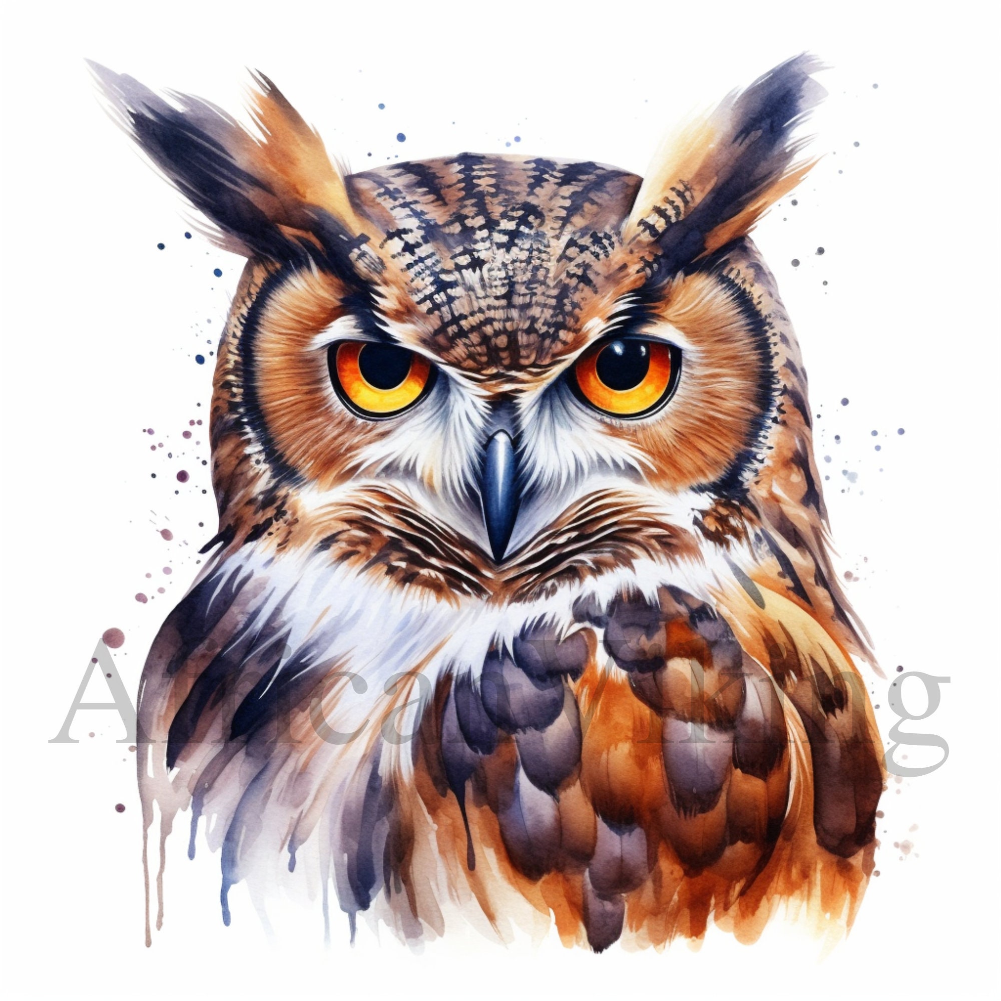 Watercolor Owl Clipart 10 High Quality Jpgs Digital Download Card ...