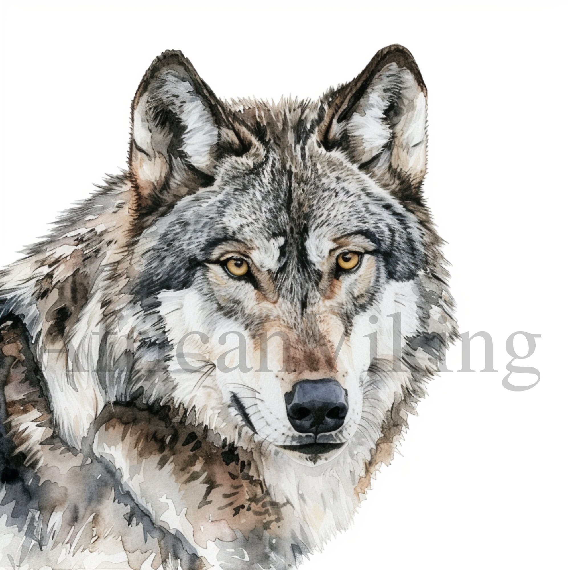 Watercolor Grey Wolf Clipart | 10 High Quality Jpgs | Digital Download ...