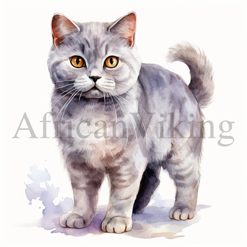 British Shorthair Cats Clipart 10 High Quality Jpgs Digital Download ...
