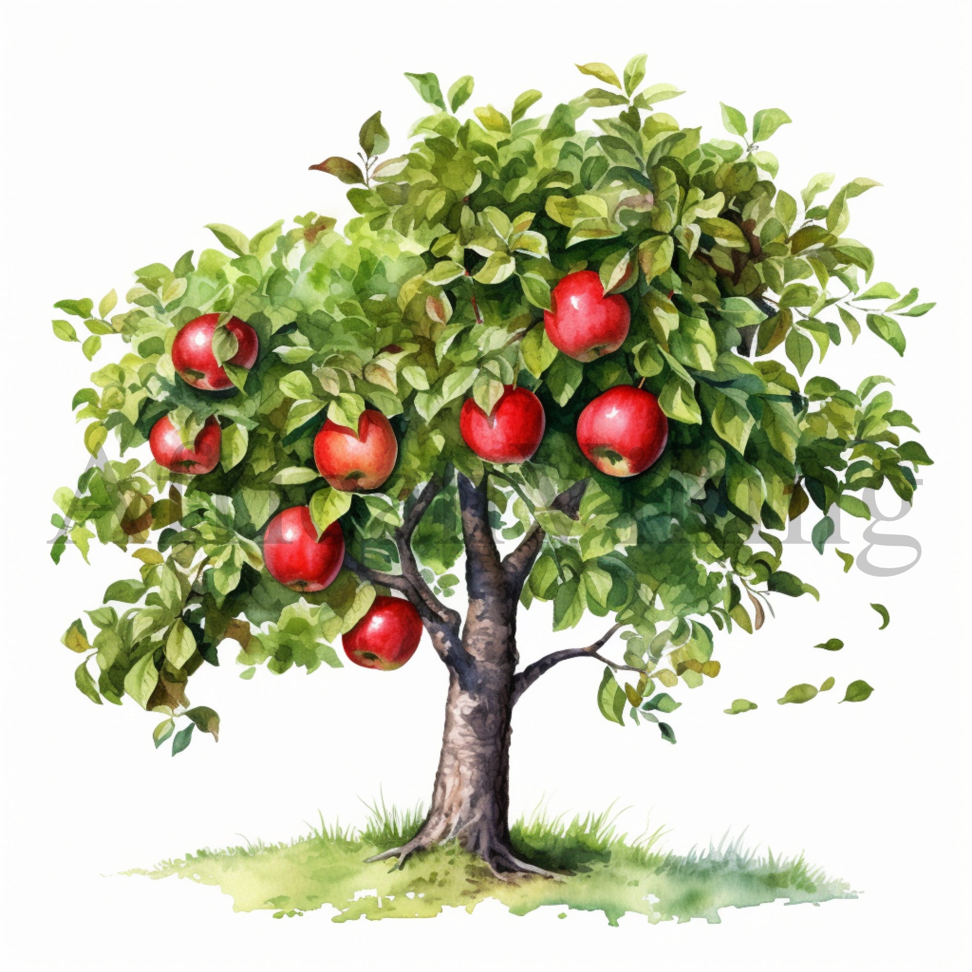 Apple Trees Clipart 10 High Quality Jpgs Digital Download Apple Tree ...