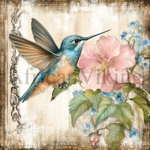 Hummingbird Papers | 10 High Quality Jpgs | Digital Download | Vintage ...