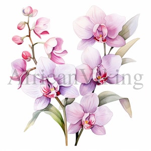 Orchid Clipart | 10 High Quality Jpgs | Digital Download | Scrapbooking ...
