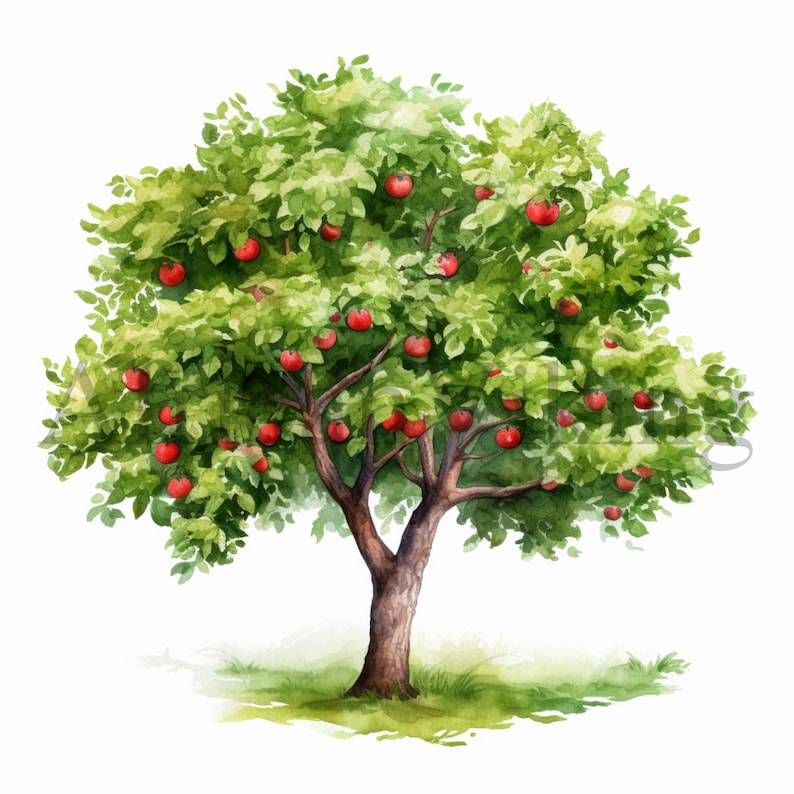 Apple Trees Clipart | 10 High Quality Jpgs | Digital Download | Apple ...