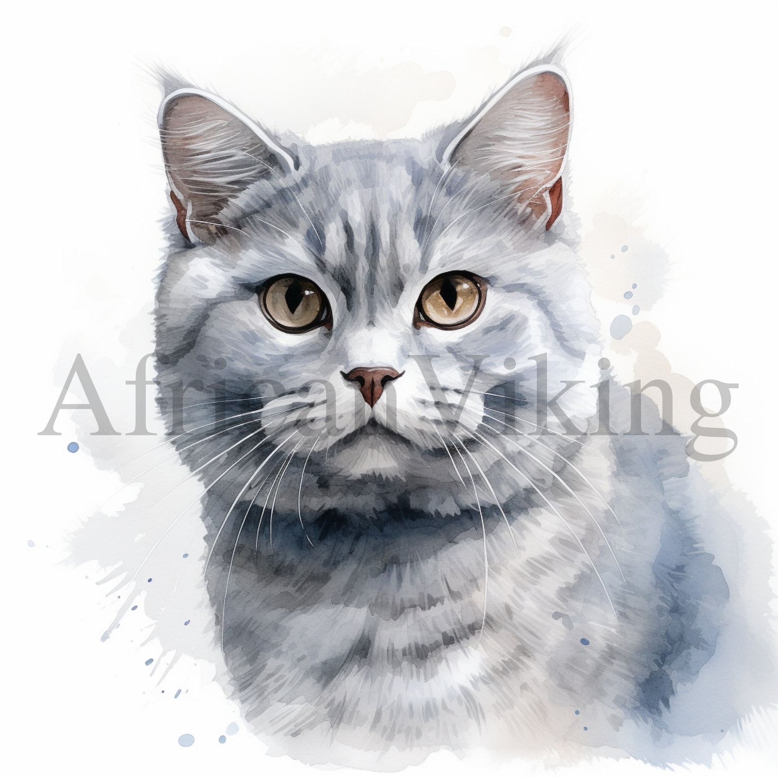 British Shorthair Cats Clipart 10 High Quality Jpgs Digital Download ...