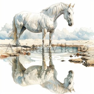White Horse Watercolor Clipart: Nursery Art Prints (digital Download ...