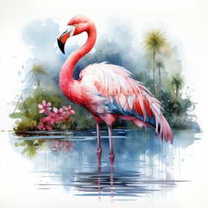 Watercolor Flamingo Clipart | Tropical Bird Jpgs (digital Download) - Etsy