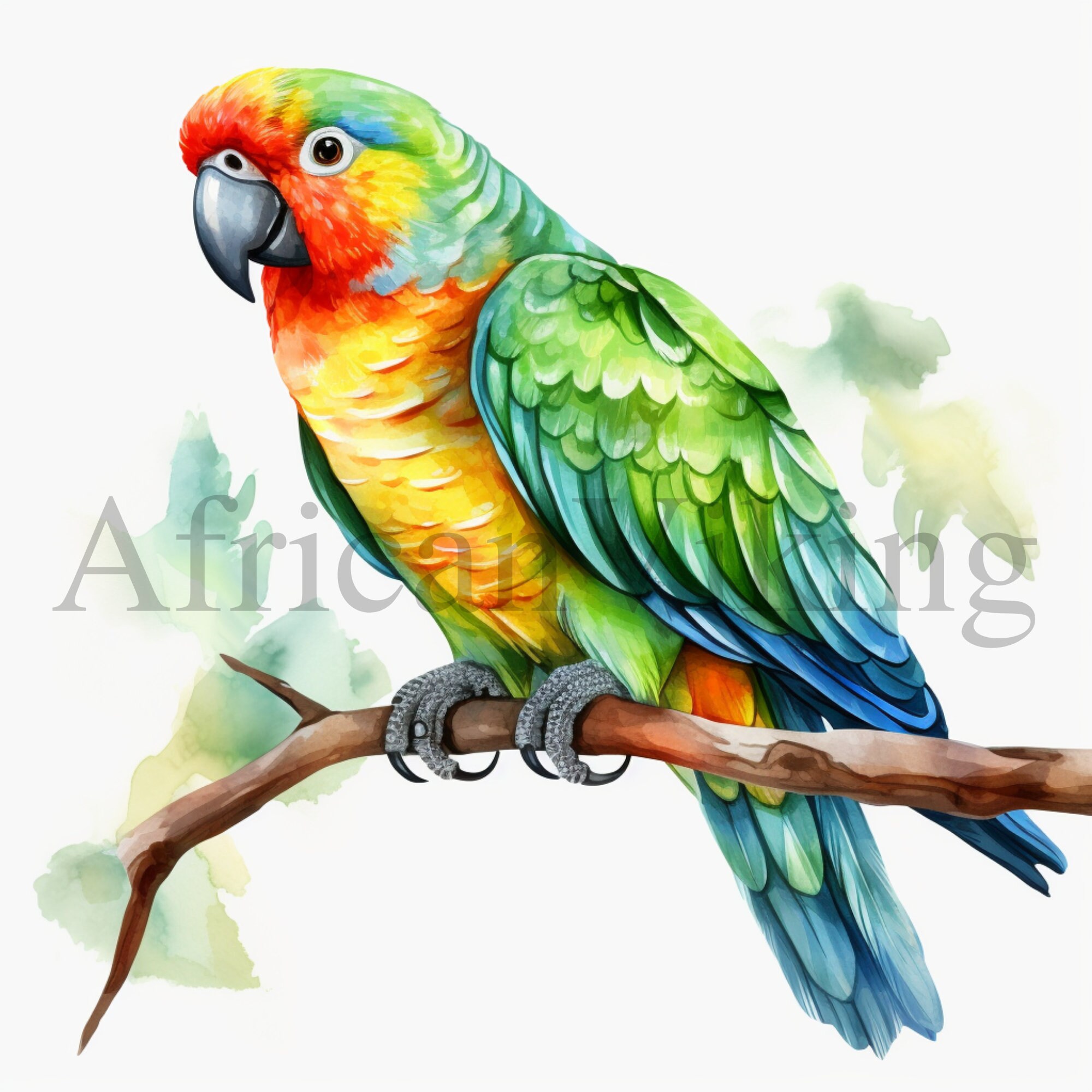 Colorful Parrot Clipart 10 High Quality Jpgs Digital Download Nursery ...