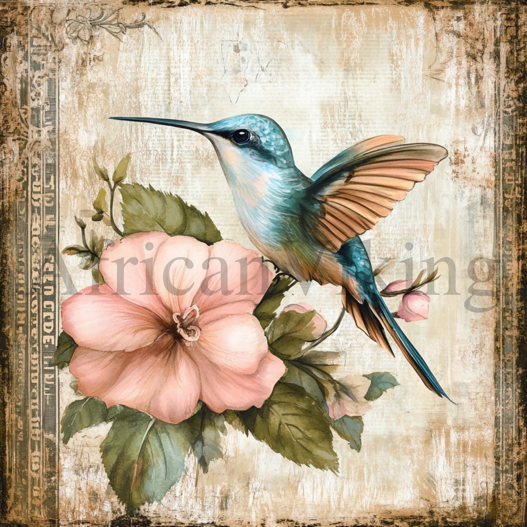 Hummingbird Papers | 10 High Quality Jpgs | Digital Download | Vintage ...