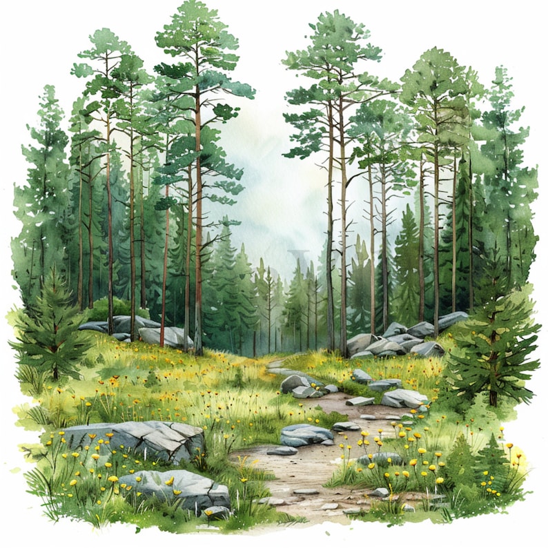 Summer Forest Clipart | 10 High Quality Jpgs | Instant Digital Download ...