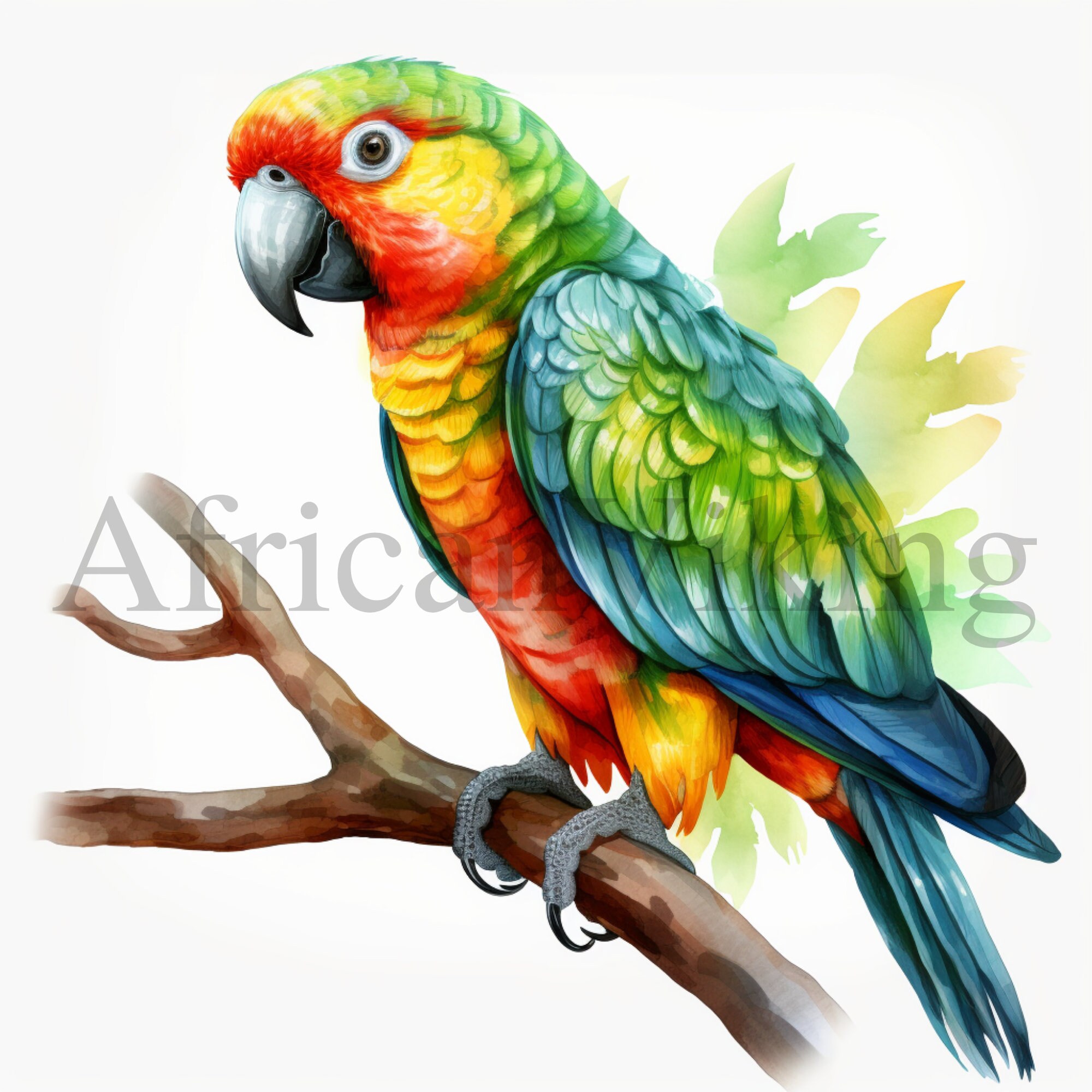 Colorful Parrot Clipart 10 High Quality Jpgs Digital Download Nursery ...