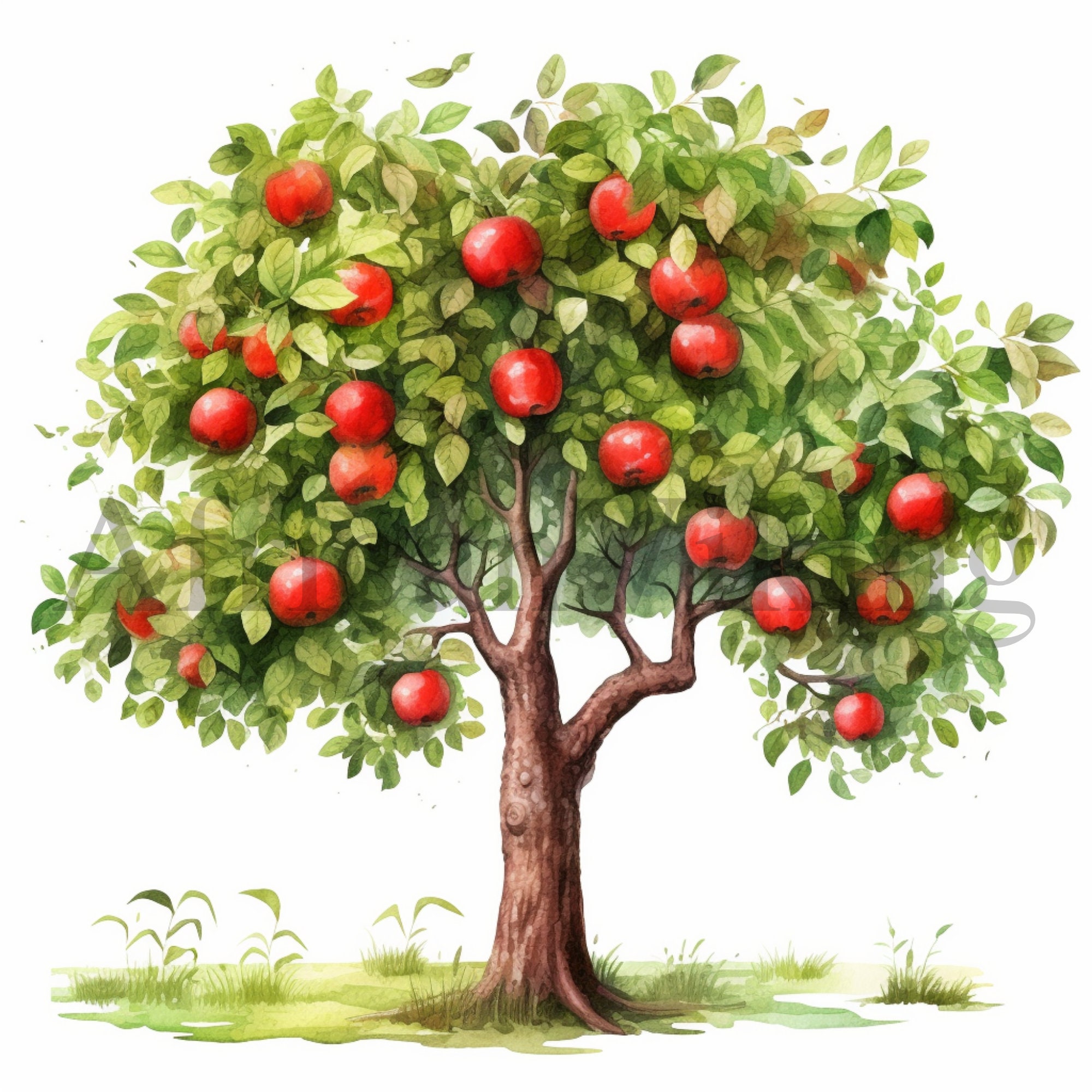 Watercolor Apple Trees Clipart | 10 High Quality Jpgs | Digital ...