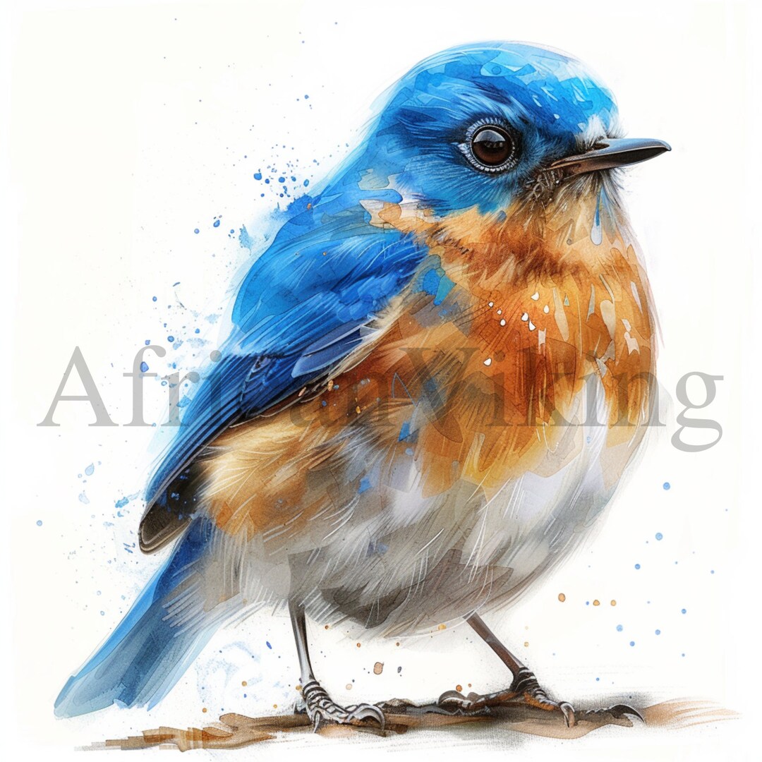 Watercolor Blue Bird Clipart 10 High Quality Jpgs Digital Download ...