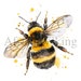 Buzzing Bees Clipart | 10 High Quality Jpgs | Digital Download | Mixed ...