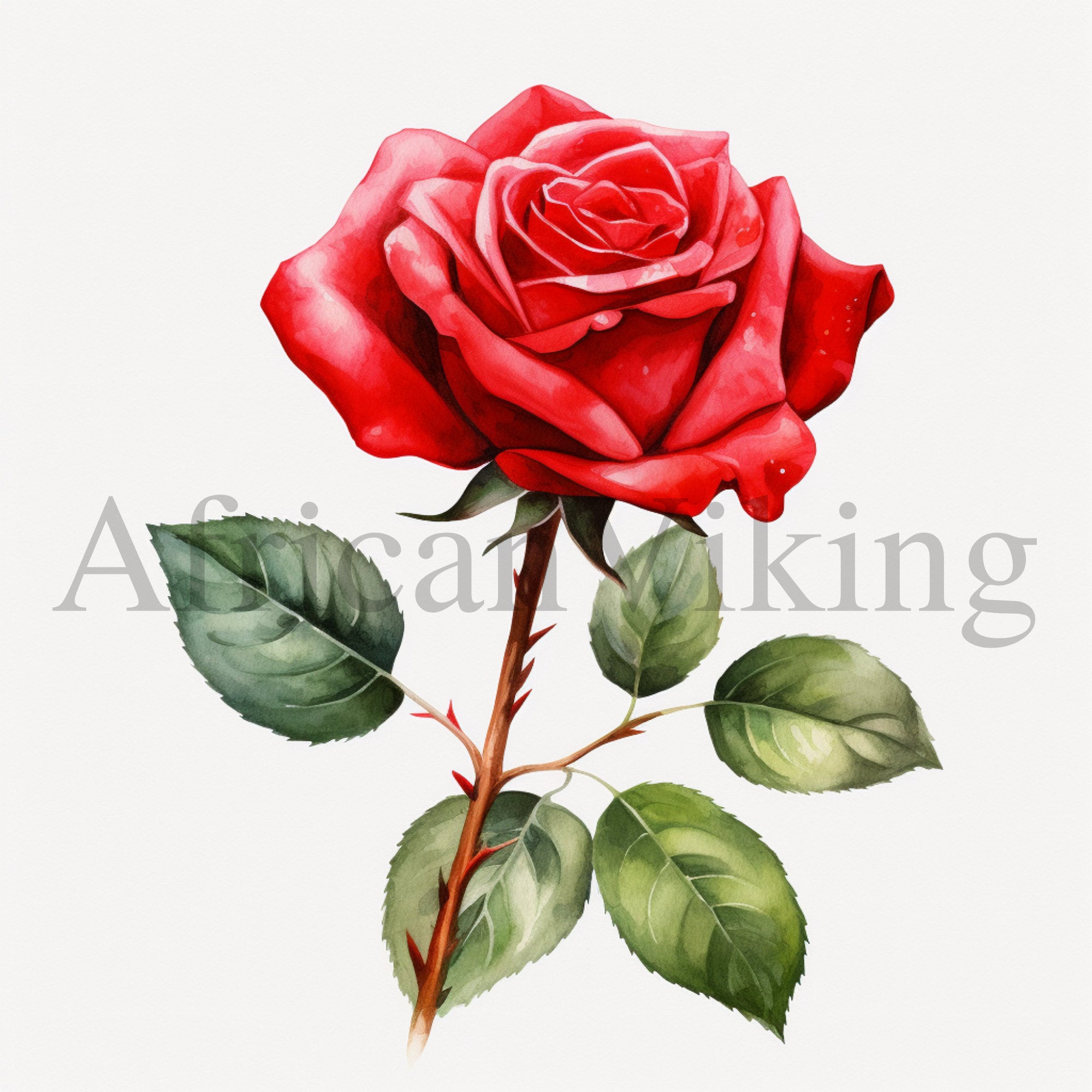 Red Rose Clipart 10 High Quality Jpgs Digital Download Card Making ...