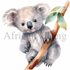 Watercolor Koala Clipart | 10 High Quality Jpgs | Digital Download ...