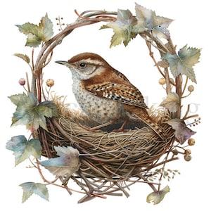 Wren Clipart | 10 High Quality Jpgs | Digital Download | Nursery Art ...