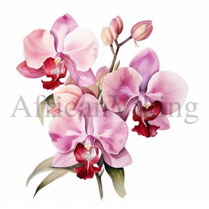 Orchid Clipart | 10 High Quality Jpgs | Digital Download | Scrapbooking ...