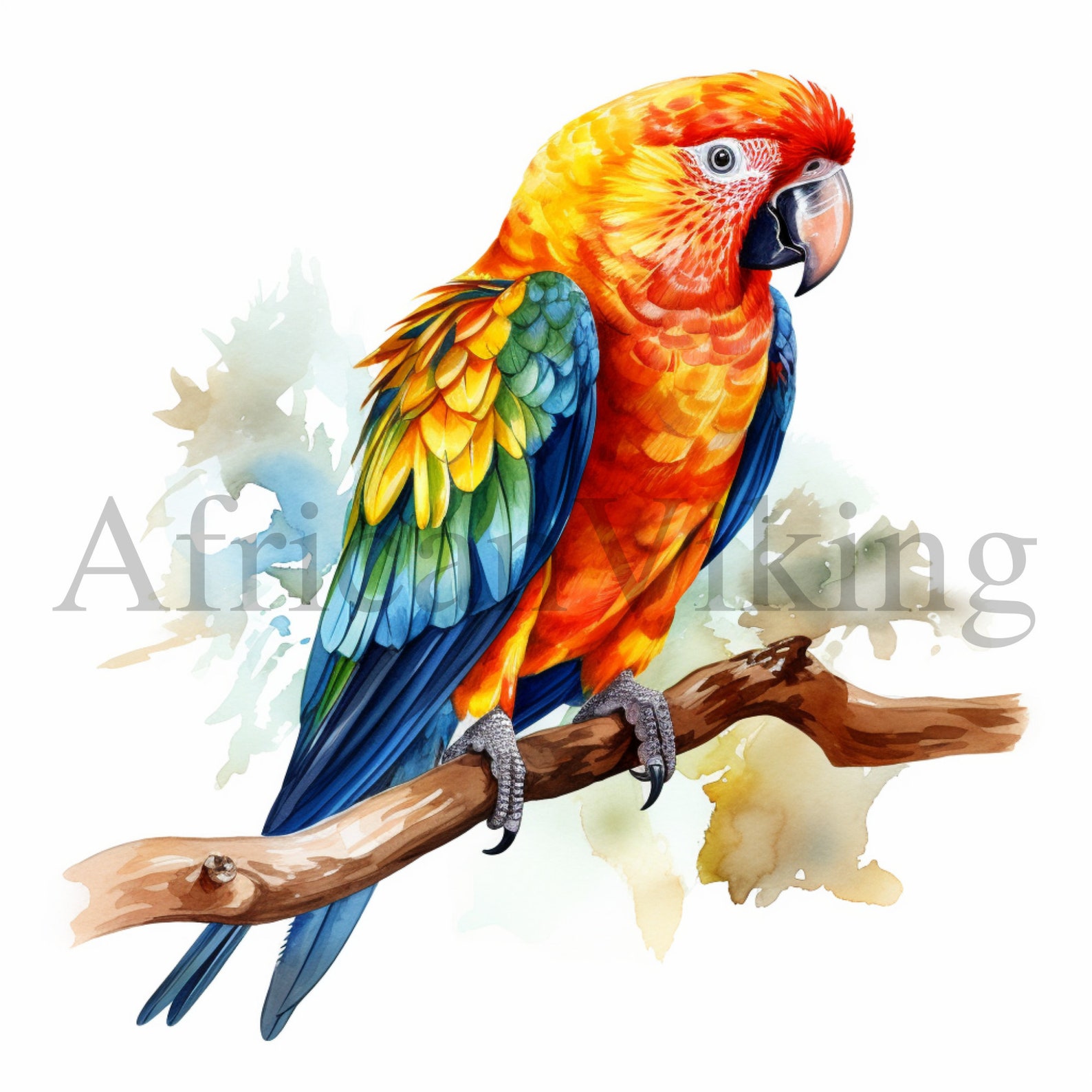 Colorful Parrot Clipart | 10 High Quality Jpgs | Digital Download ...