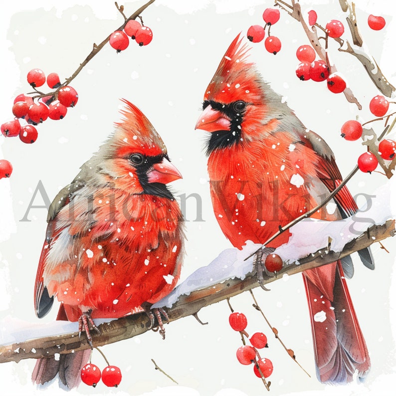 Watercolor Winter Red Cardinals Clipart | 10 High Quality Jpgs ...