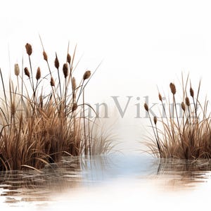 Cattails and Reeds in Water Pond Clipart | 10 High Quality Jpgs ...