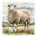 Sheep Clipart: Farm Animal Jpgs for Nursery Art (digital Download) - Etsy
