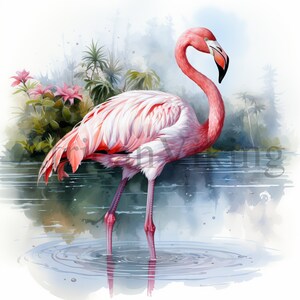 Watercolor Flamingo Clipart | Tropical Bird Jpgs (digital Download) - Etsy