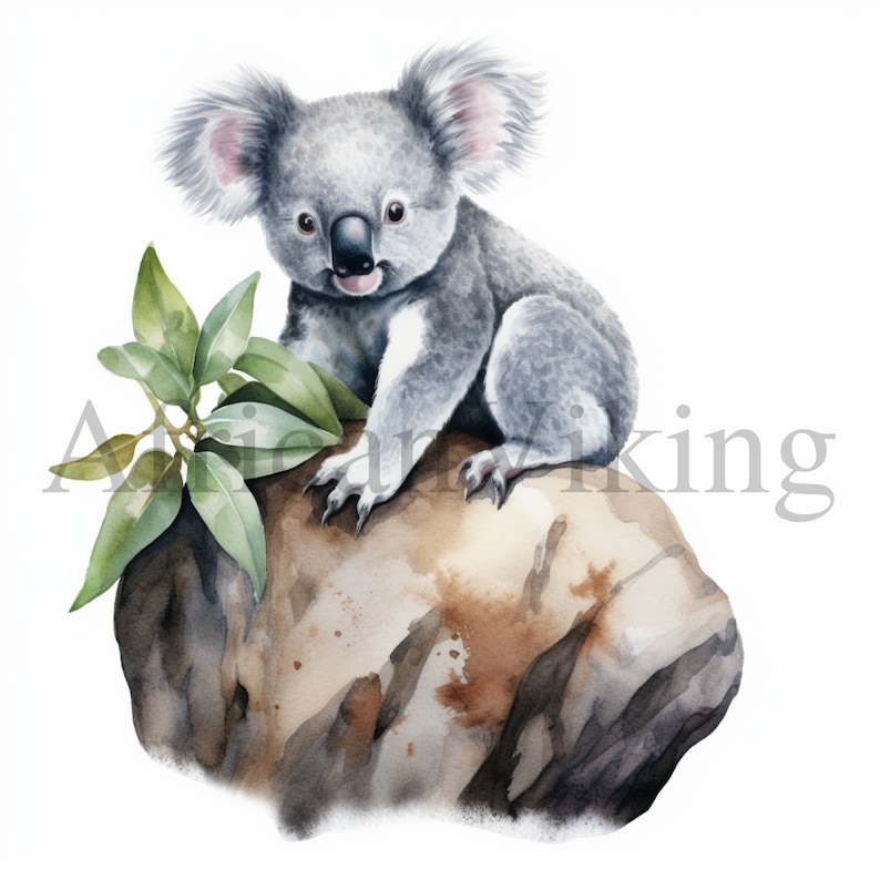 Watercolor Koala Clipart 10 High Quality Jpgs Digital Download ...