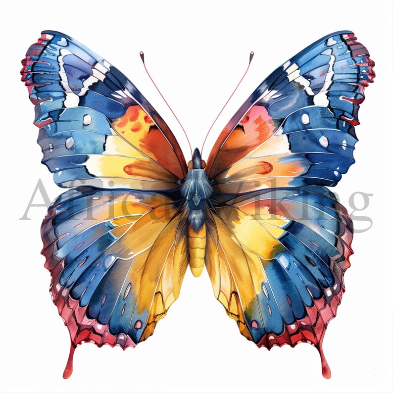 Whimsical Butterflies Clipart 10 High Quality Jpgs Digital Download ...