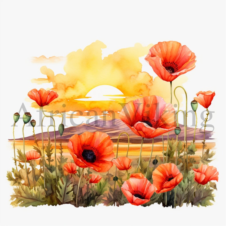 Sunset Poppy Fields Clipart 10 High Quality Jpgs Digital Download Card ...