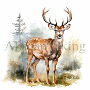 Vintage Deers Clipart | 10 High Quality Jpgs | Digital Download ...