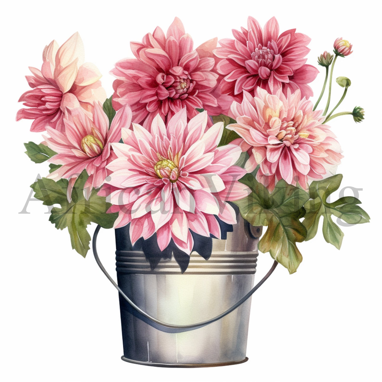 Dahlias Bucket Clipart | 10 High Quality Jpgs | Digital Download ...