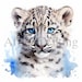Snow Leopard Clipart | 10 High Quality Jpgs | Digital Download | Card ...