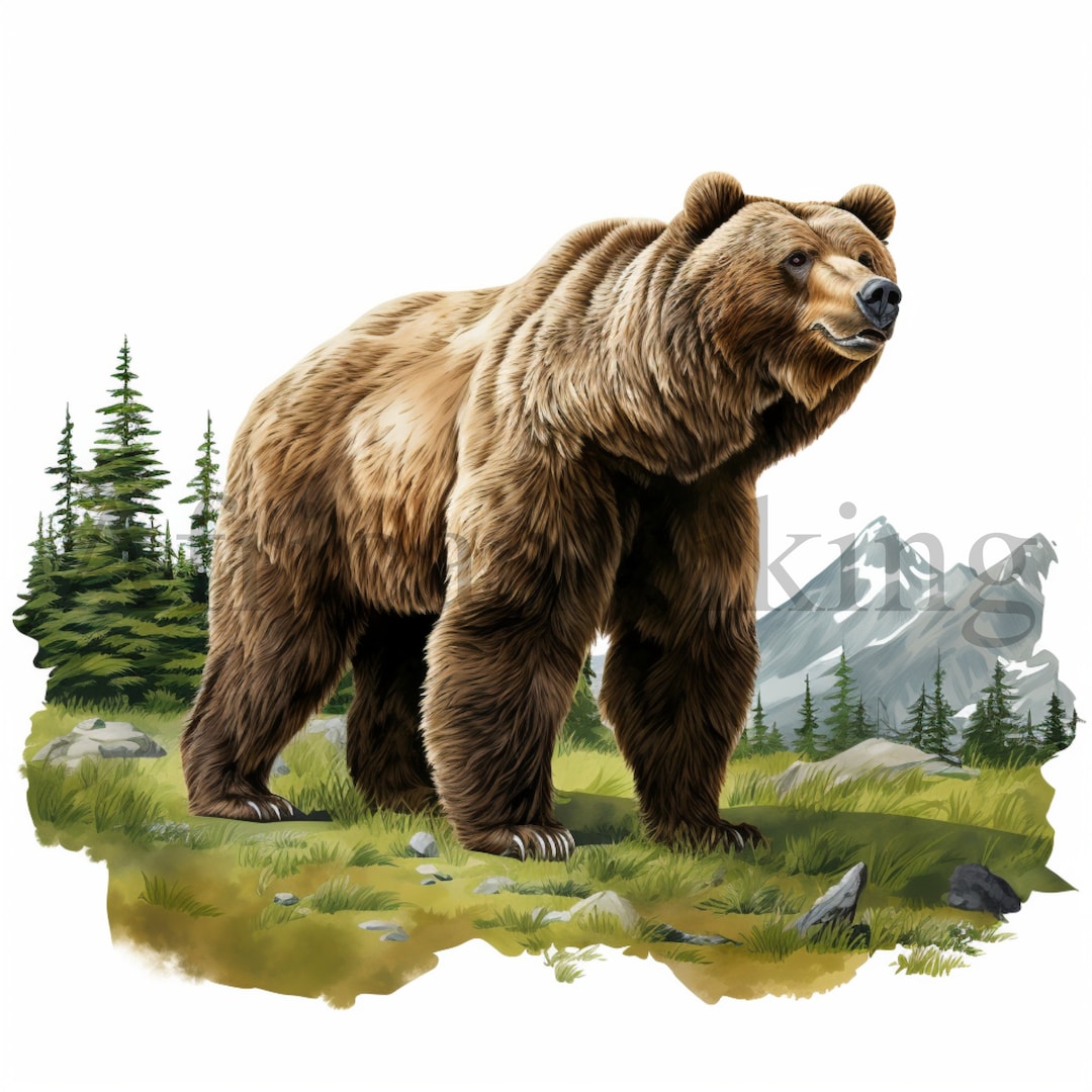 Grizzly Bear Clipart | 10 High Quality Jpgs | Digital Download ...