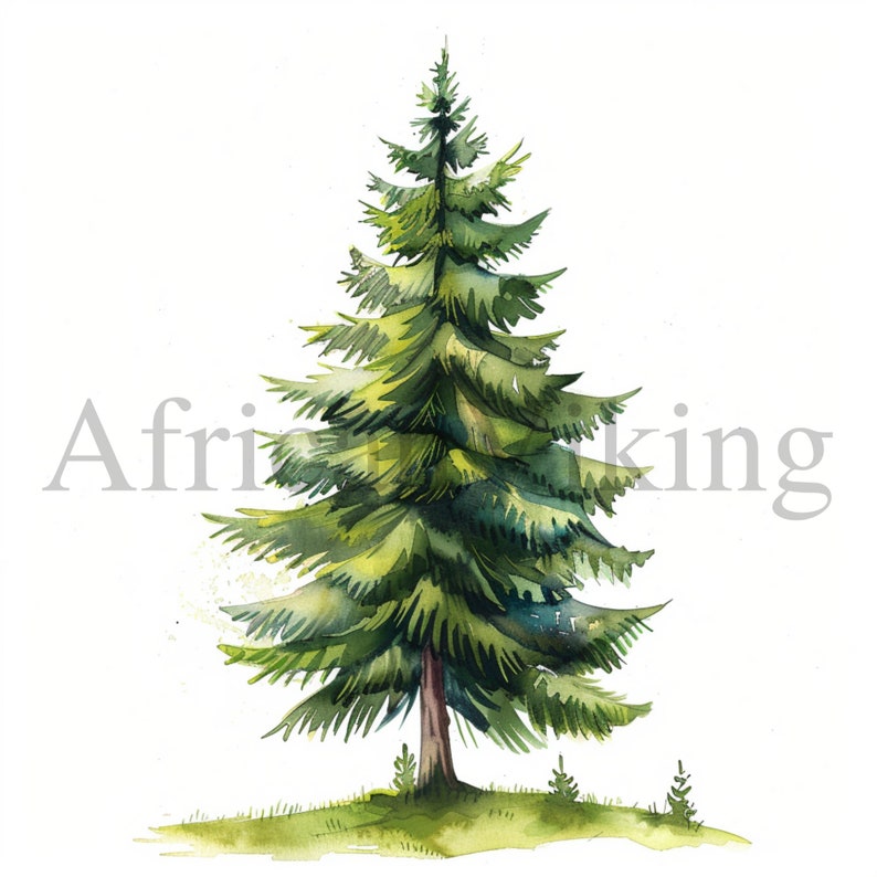 Fir Trees Clipart 10 High Quality Jpgs Digital Download Card Making ...