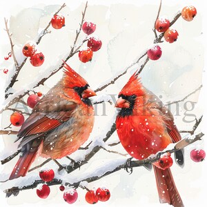 Watercolor Winter Red Cardinals Clipart | 10 High Quality Jpgs ...