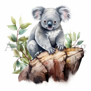 Watercolor Koala Clipart | 10 High Quality Jpgs | Digital Download ...