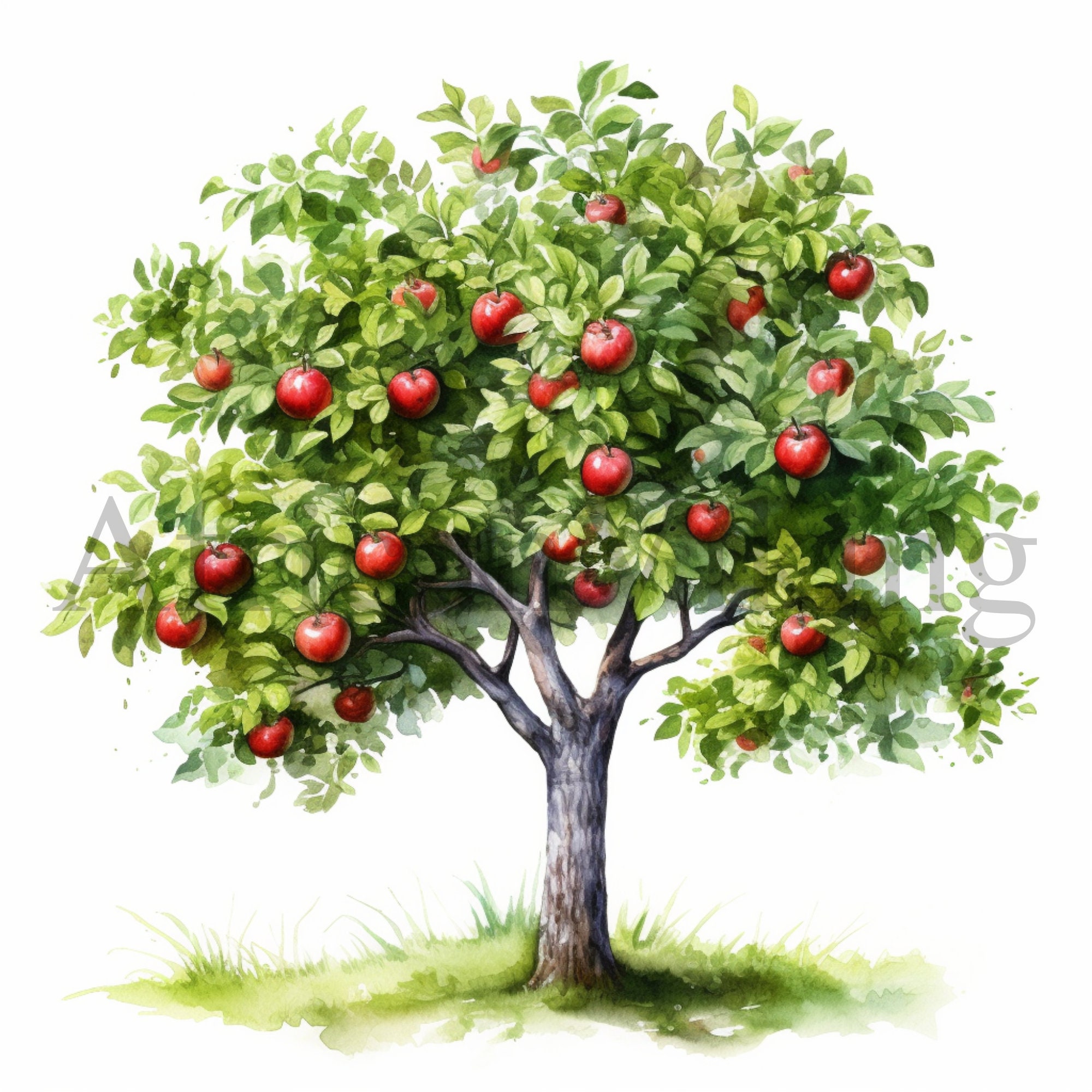 Watercolor Apple Trees Clipart | 10 High Quality Jpgs | Digital ...