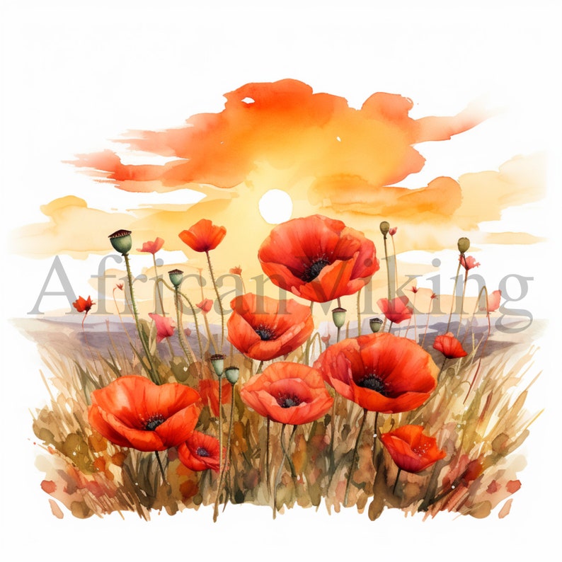 Sunset Poppy Fields Clipart 10 High Quality Jpgs Digital Download Card ...