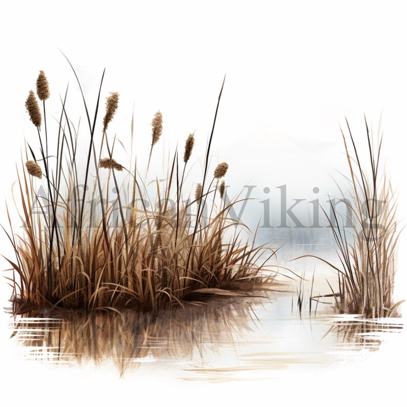 Cattails and Reeds in Water Pond Clipart | 10 High Quality Jpgs ...