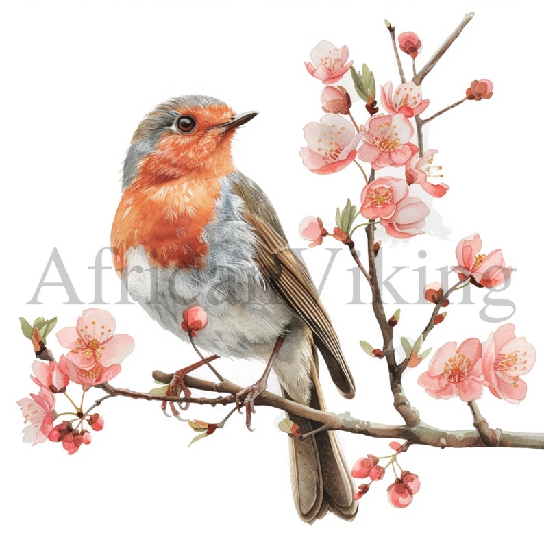 Robin Bird Spring Blossom Clipart | Nursery Art (digital Download) - Etsy