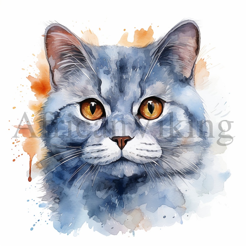 British Shorthair Cats Clipart 10 High Quality Jpgs Digital Download ...