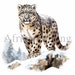 Snow Leopard Clipart | 10 High Quality Jpgs | Digital Download | Animal ...