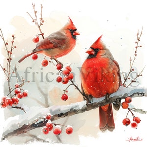 Watercolor Winter Red Cardinals Clipart | 10 High Quality Jpgs ...